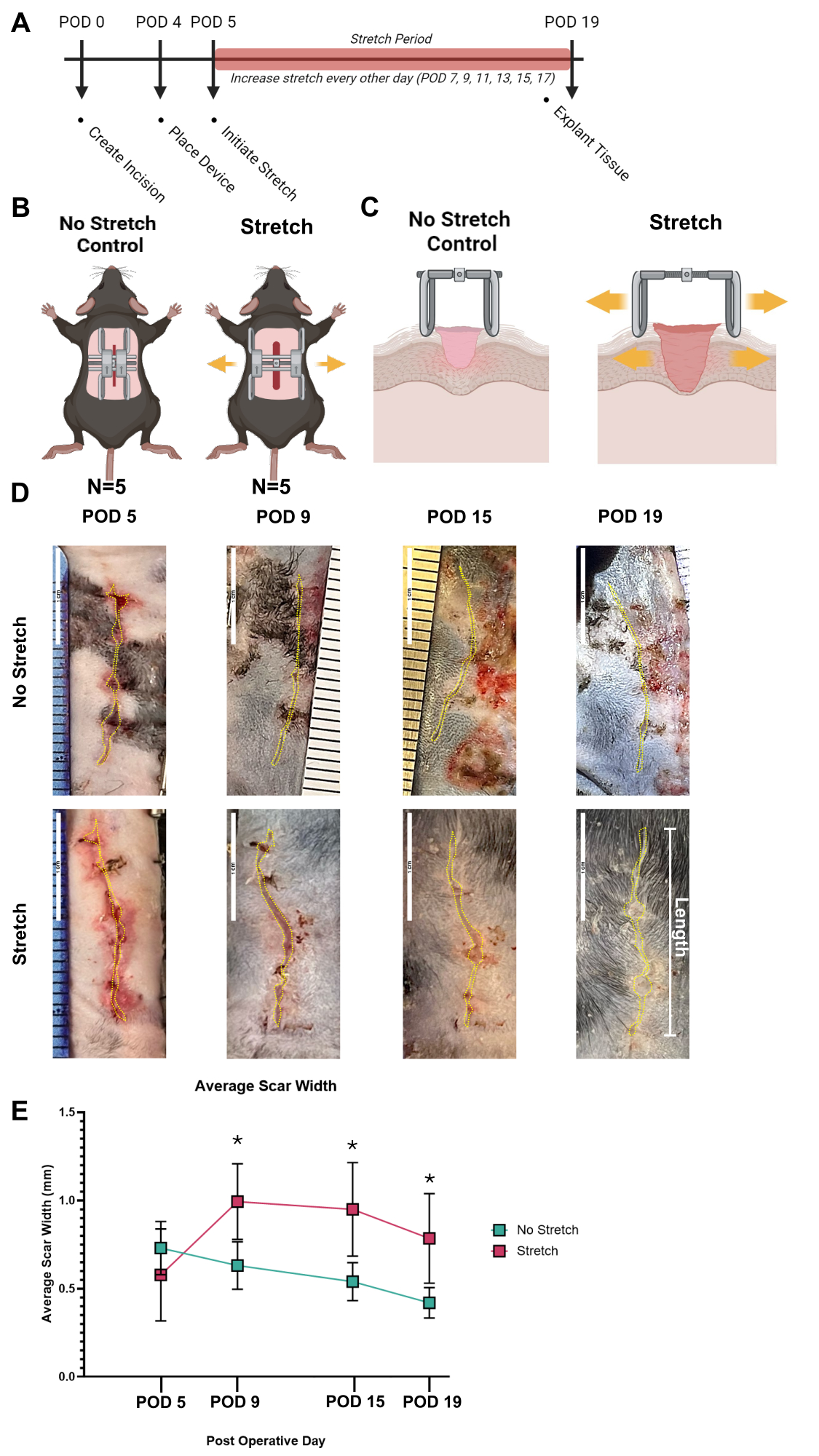 Kussie et al. publishes paper in Journal of Visualized Experiments ...